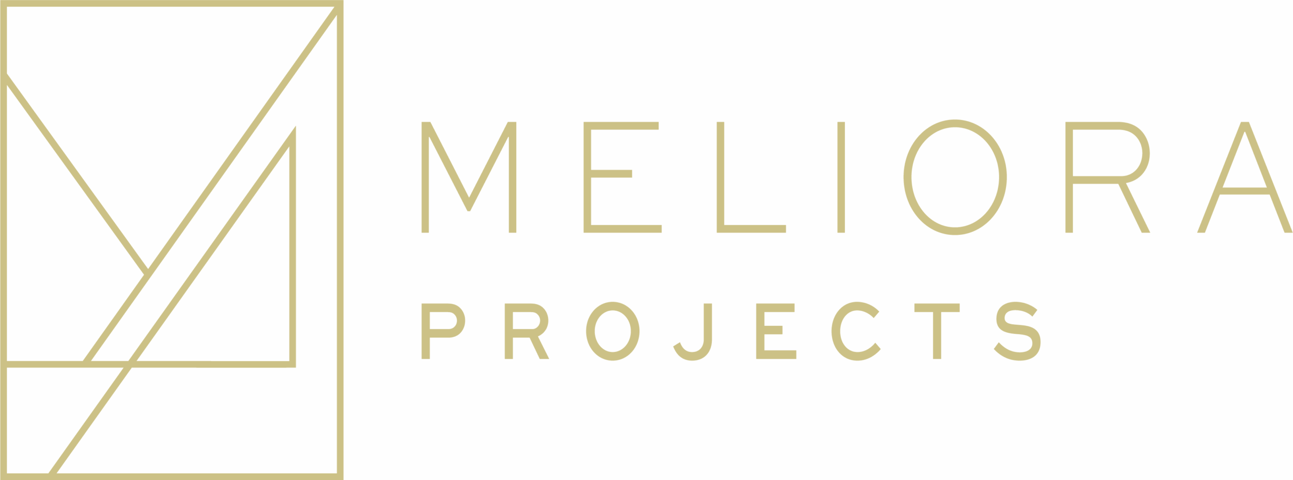 Contact Us - Meliora Projects